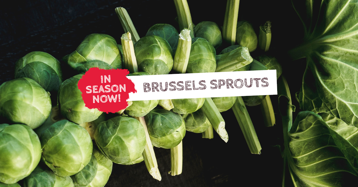 In Season Now - Brussels Sprouts - Adelaide Hills Farmers Market