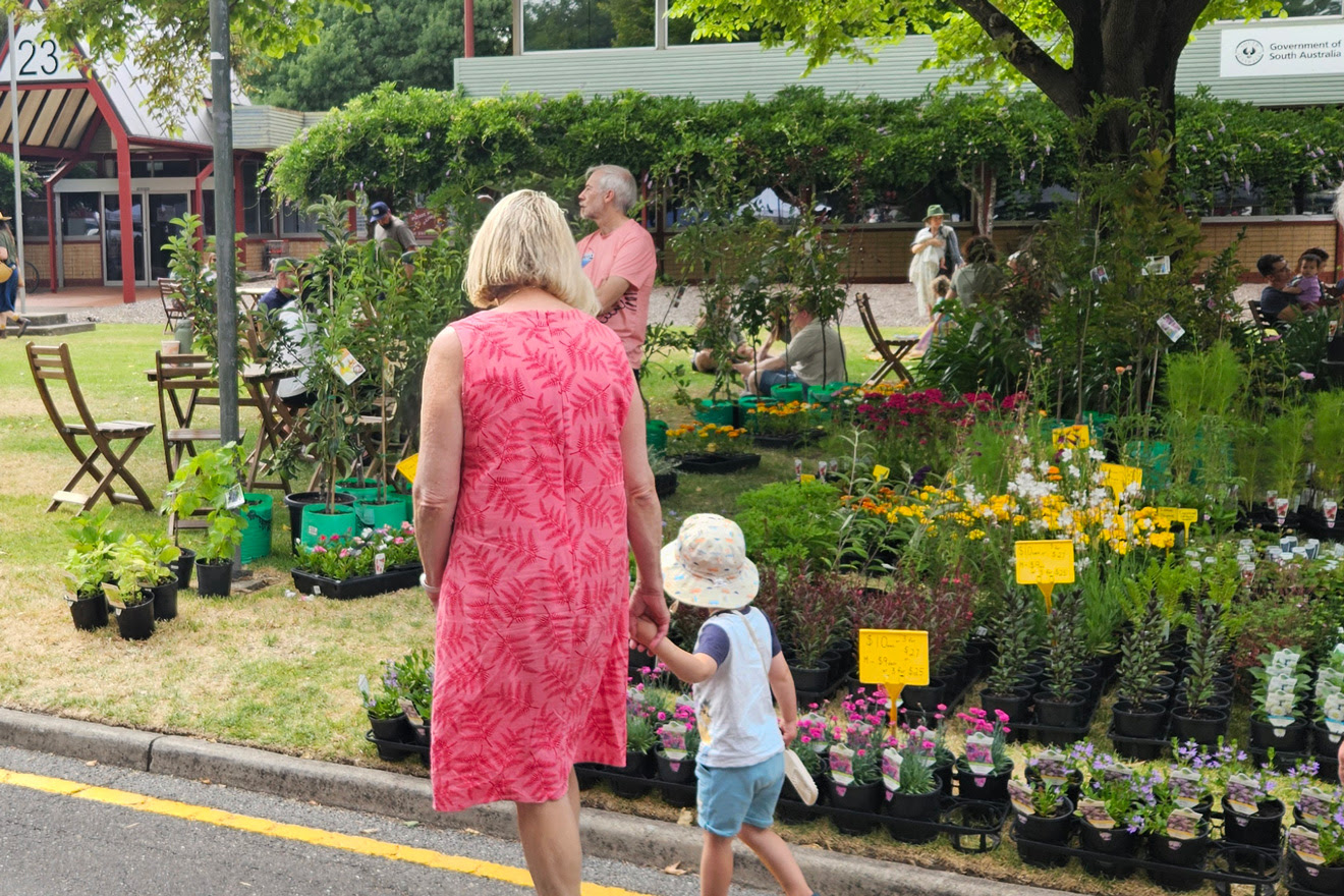 Artisan Market – 1st February 2025 - Adelaide Hills Farmers Market